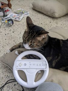 20 Best Multiplayer Wii Games (March 2026) Guide for Family