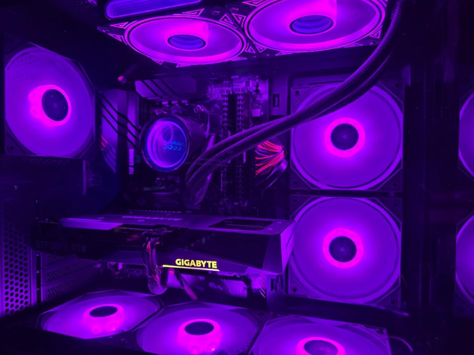 10 Best 4K Graphics Cards GPUs (March 2026 Buyer's Guide)