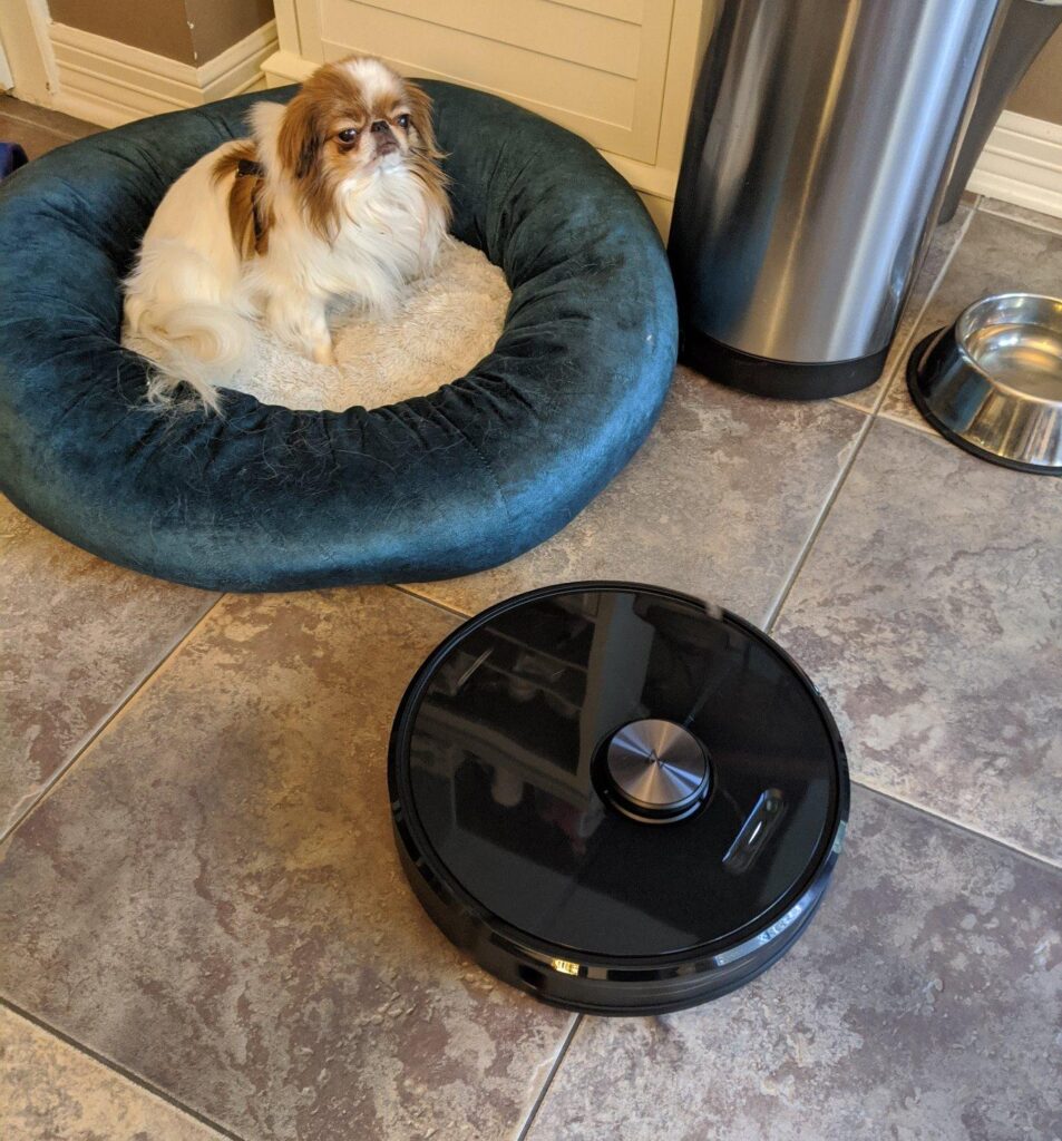 10 Best Robot Vacuums Without Mopping (March 2026 Buyer's Guide)