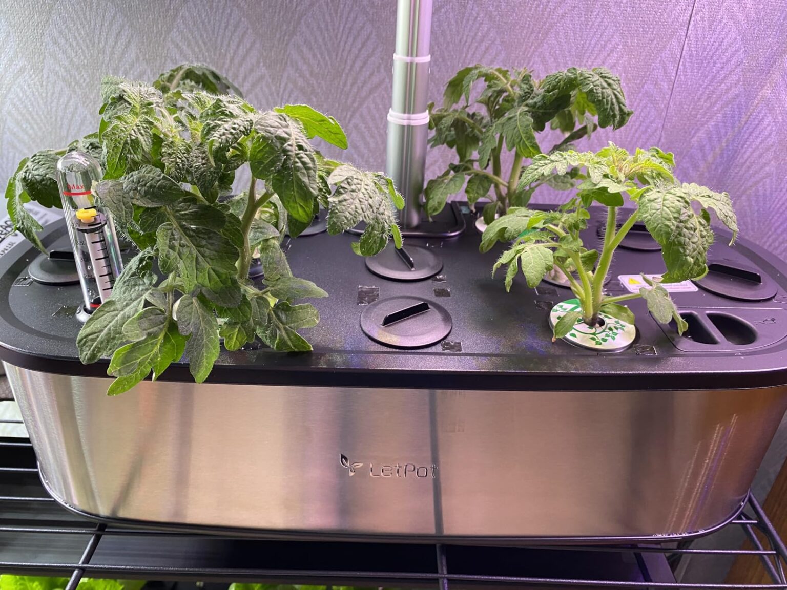 14 Best Smart Garden Systems for Indoor Herbs 2026 Top Tested