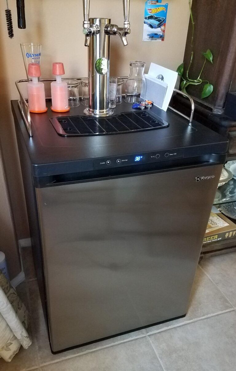 8 Best Kegerators for Craft Beer Enthusiasts (June 2026) Complete Guide