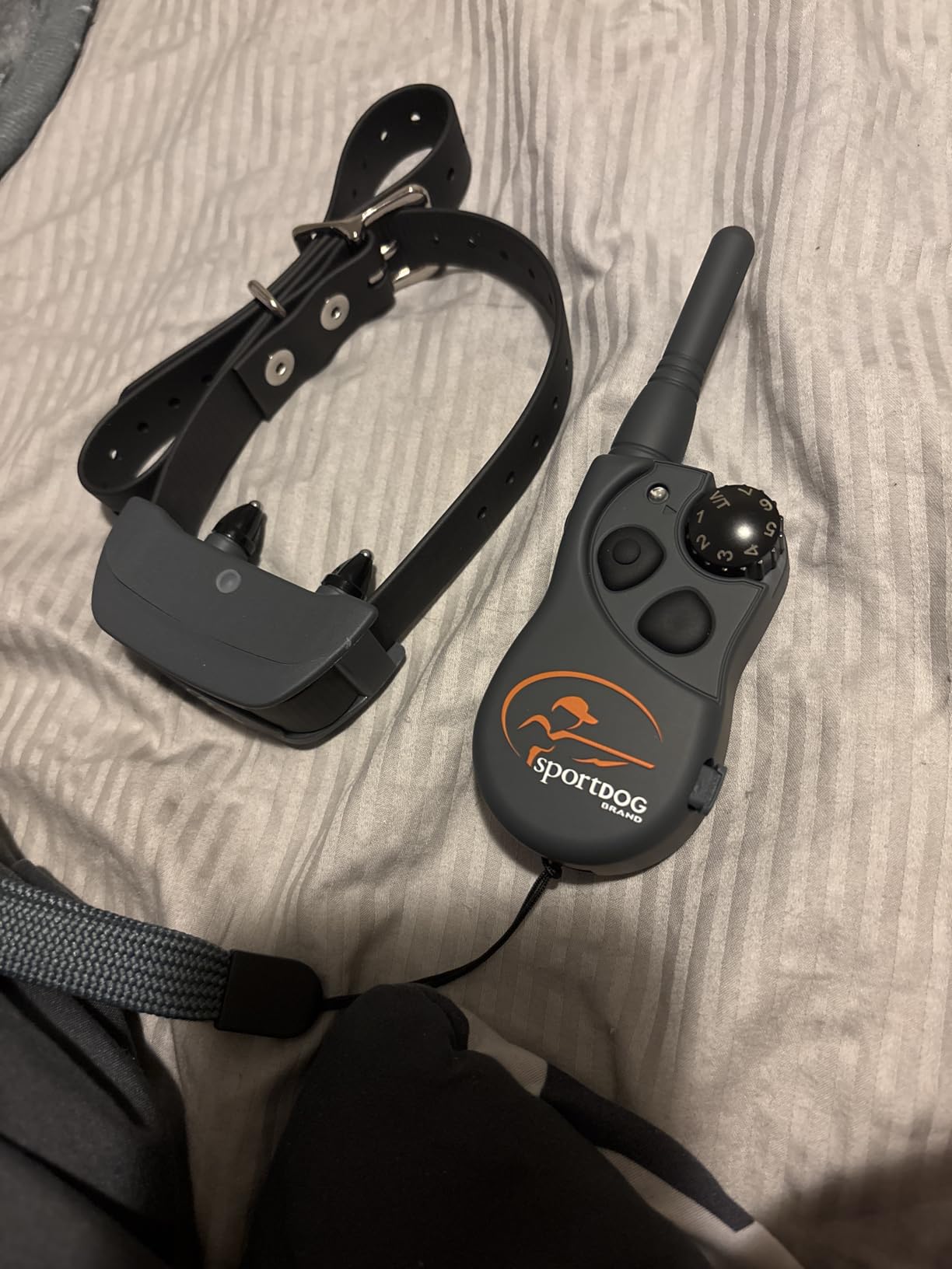 15 Best Waterproof Dog Training Collars (April 2026) Expert Reviews