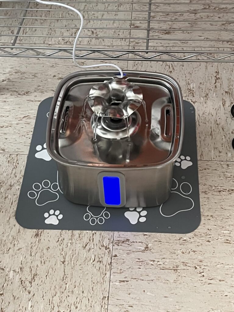 15 Best Pet Fountains for Cats (July 2026) Tested