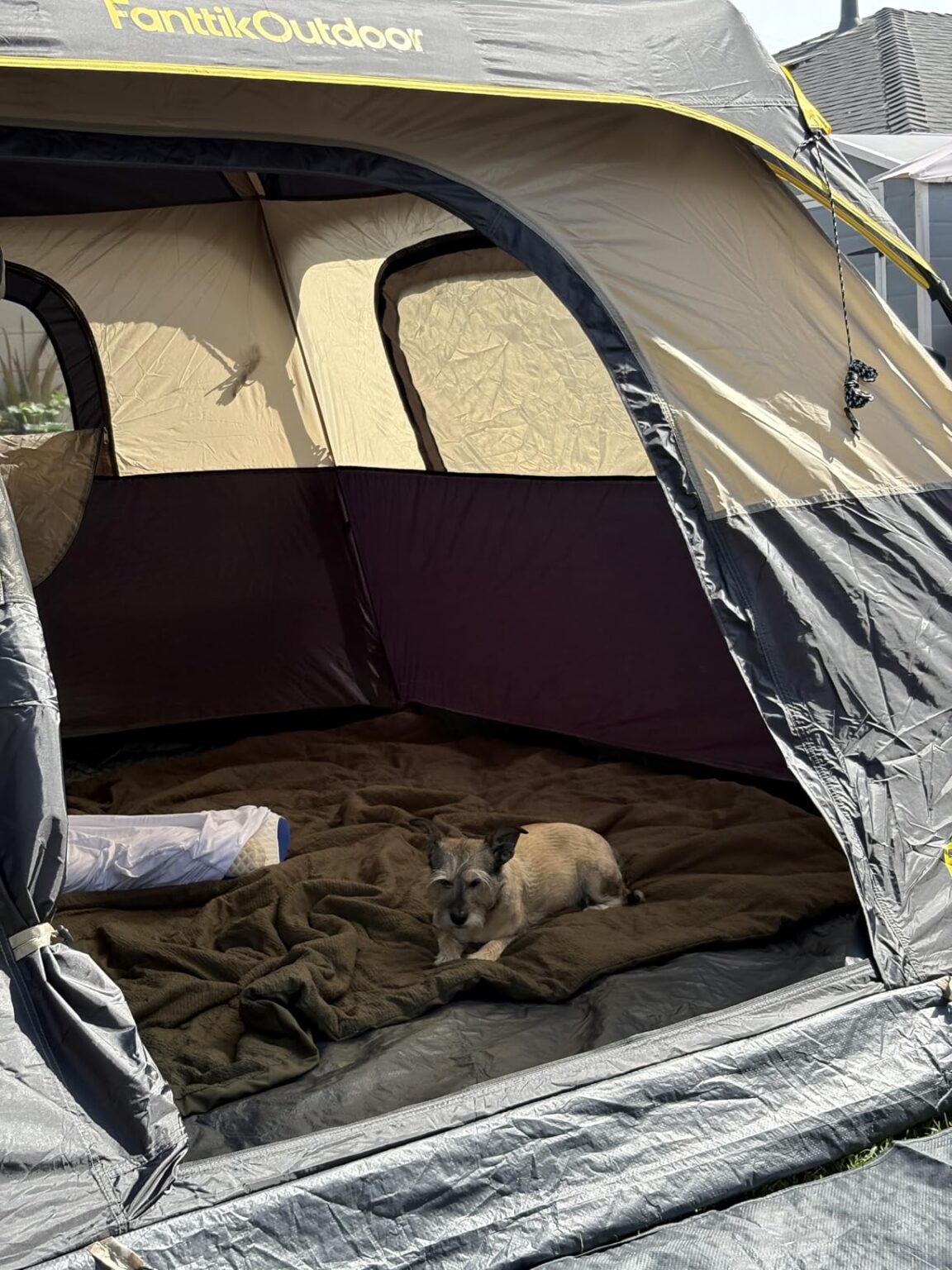 13 Best 6 Person Camping Tents (May 2026) Expert Reviews