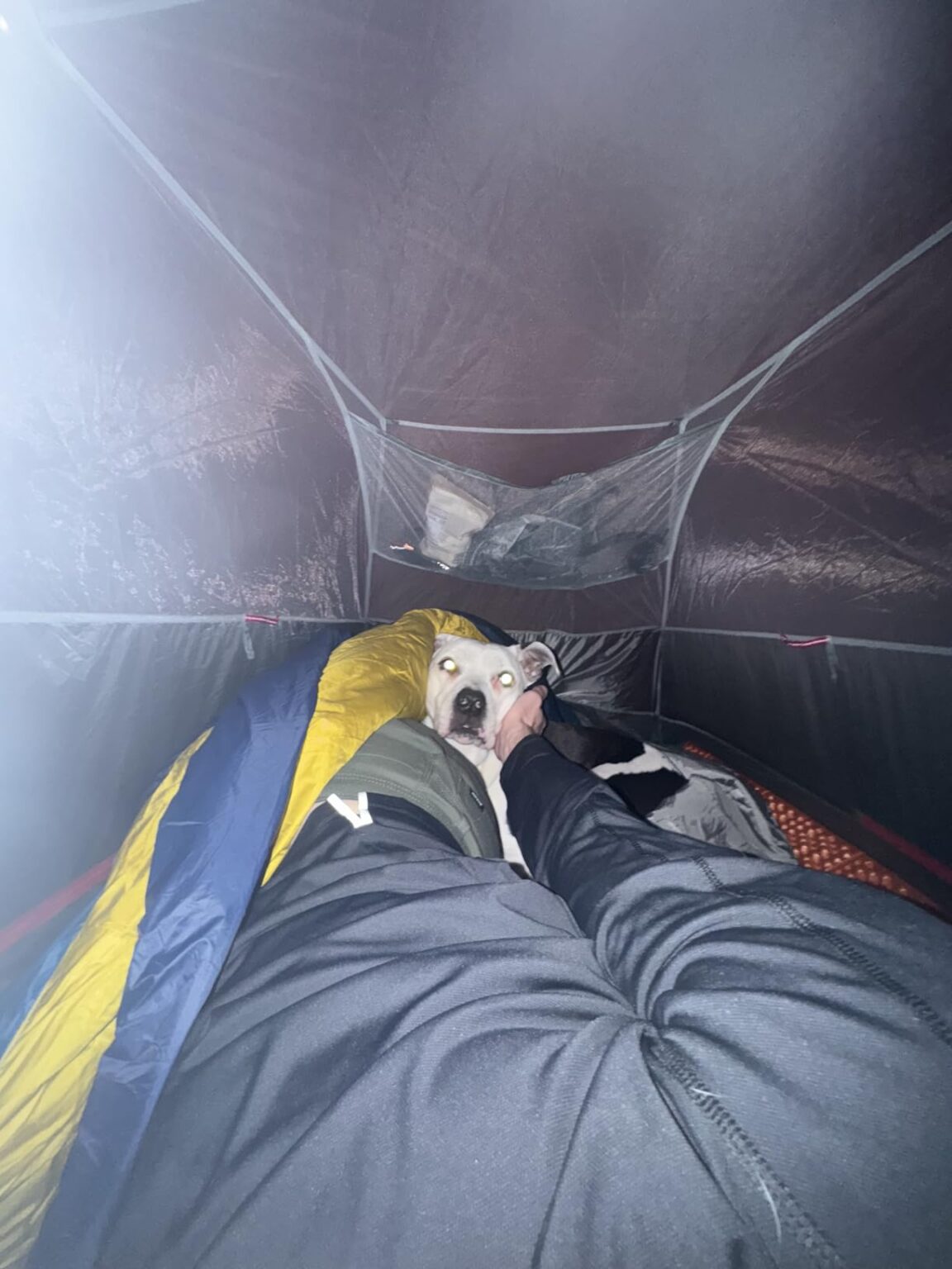 14 Best Down Sleeping Bags for Cold Weather (May 2026) Expert Reviews