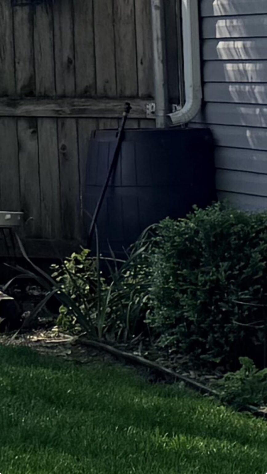 8 Best Home Rainwater Collection Systems (June 2026) Expert Reviews