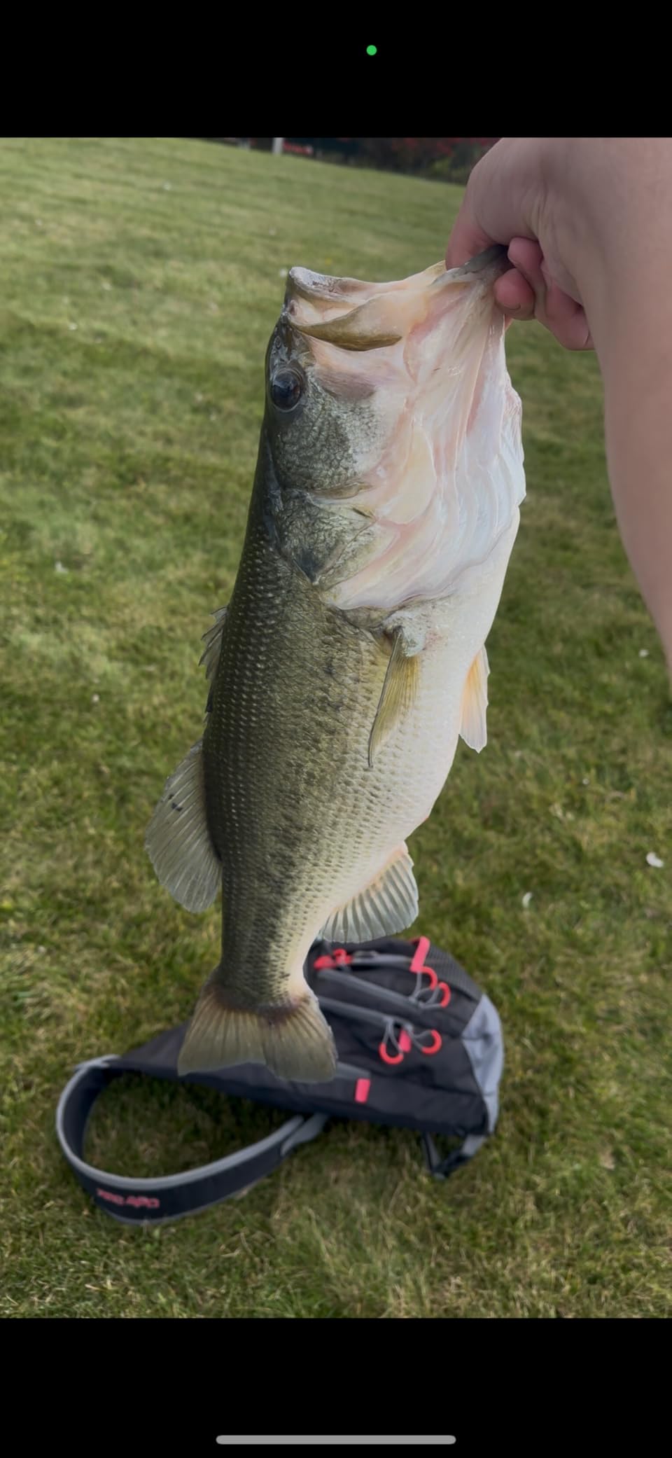 10 Best Baitcasting Rods for Bass Fishing (June 2026)