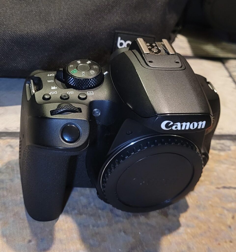 15 Best Amazon Prime Day DSLR Camera Deals (June 2026) Guide