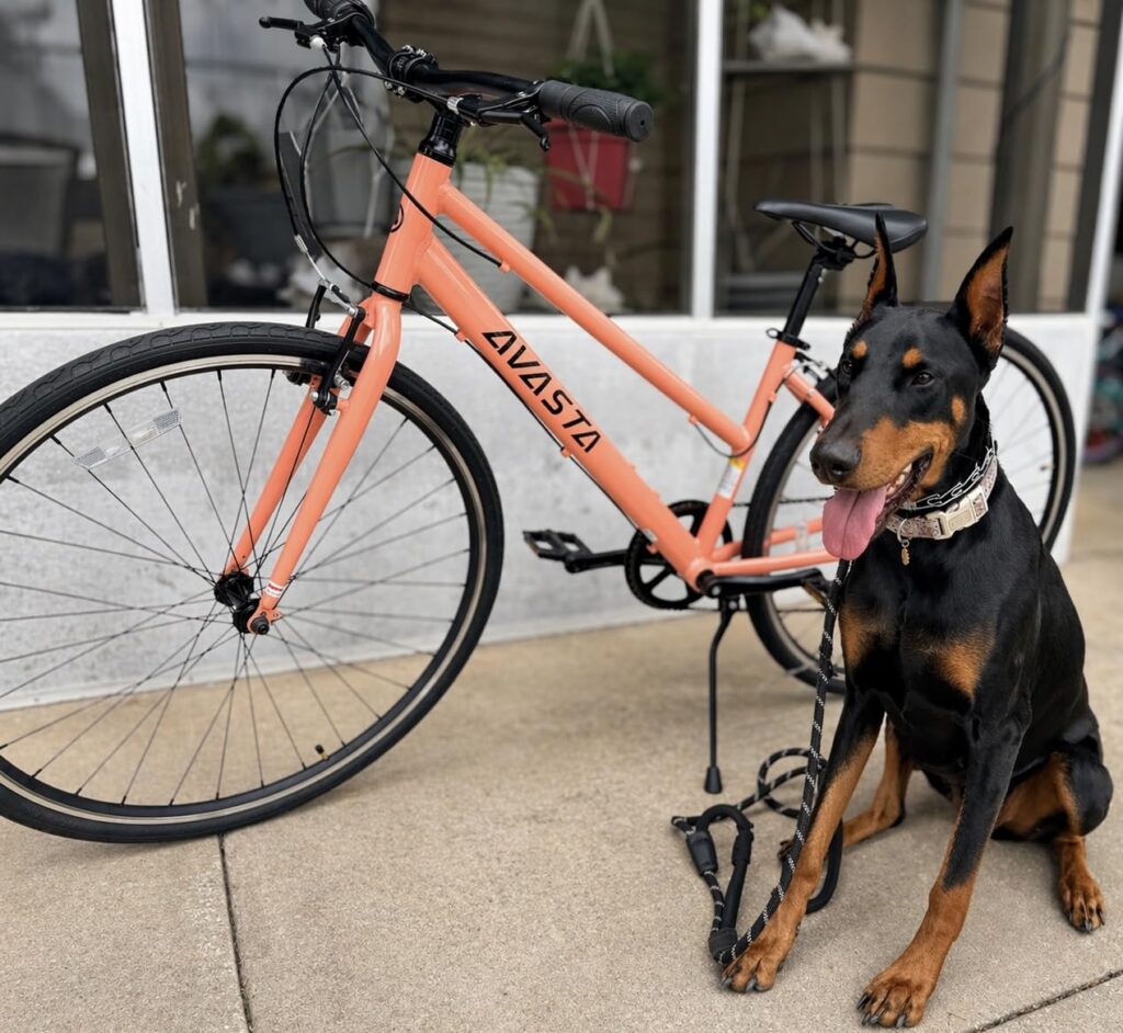 12 Best Road Bikes for Beginners (June 2026) Top Picks for New Cyclists